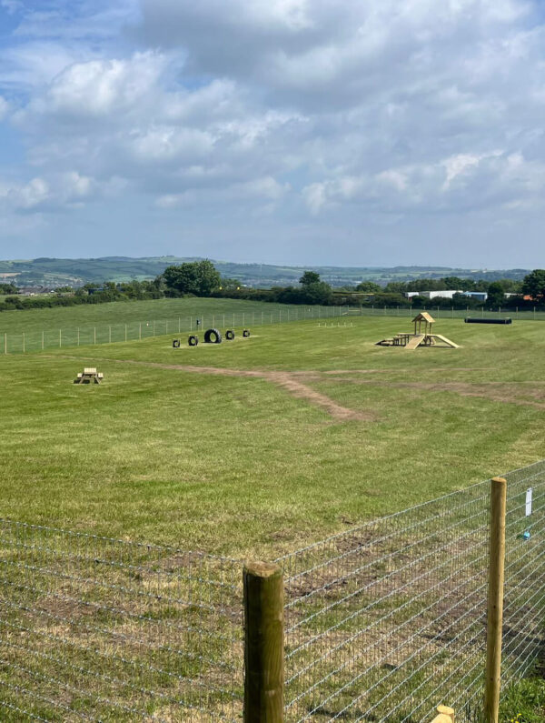 The Dog Paddock